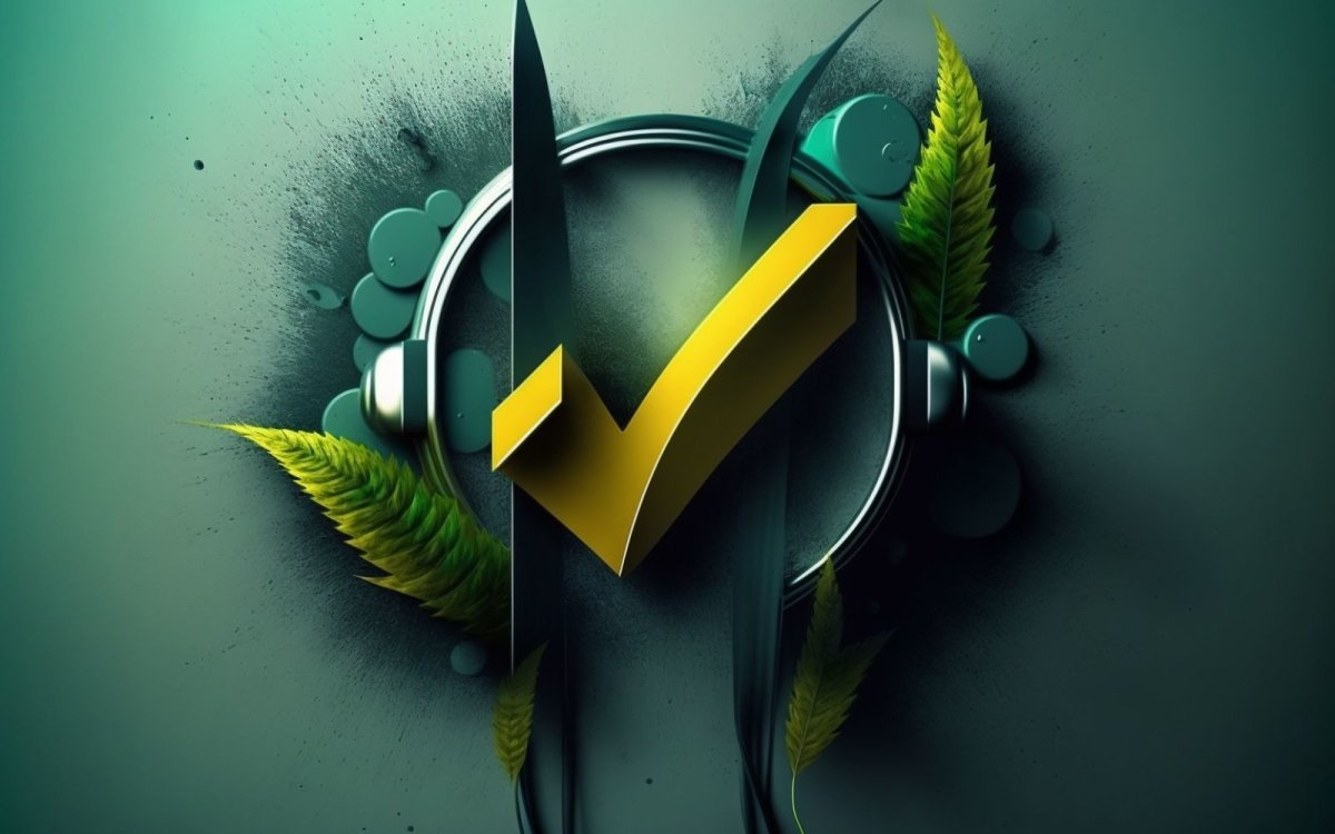The Ultimate Satisfaction Guarantee for Your Custom Audio Needs — Music ...